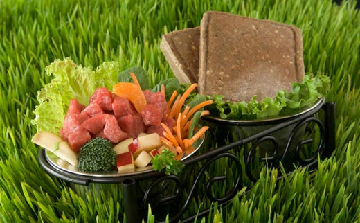 Different Diets Mean Different Values For Your Pet! - BARF World Inc.