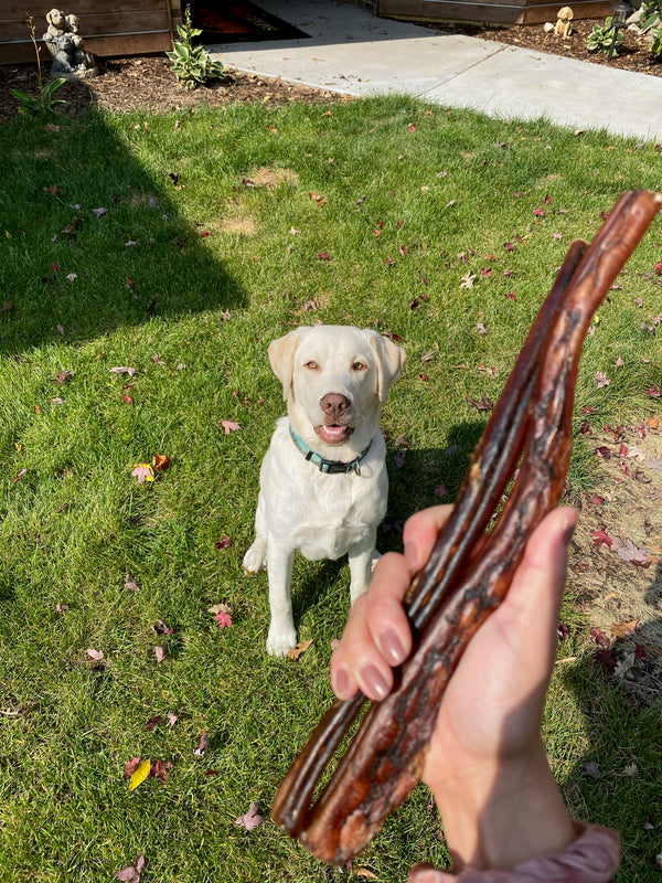 Struggle to Pick Up Your Dog's Poop? - BARF World Inc.